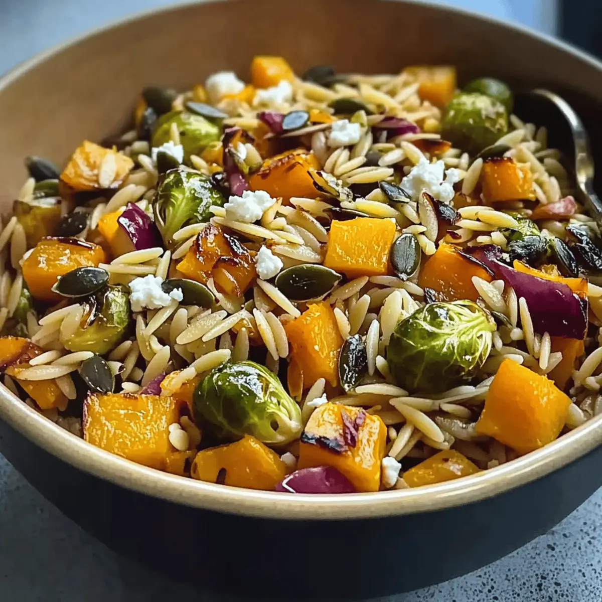 Fall Harvest Orzo Salad that Spices Up Your Autumn Table – ALFREDO RECIPES